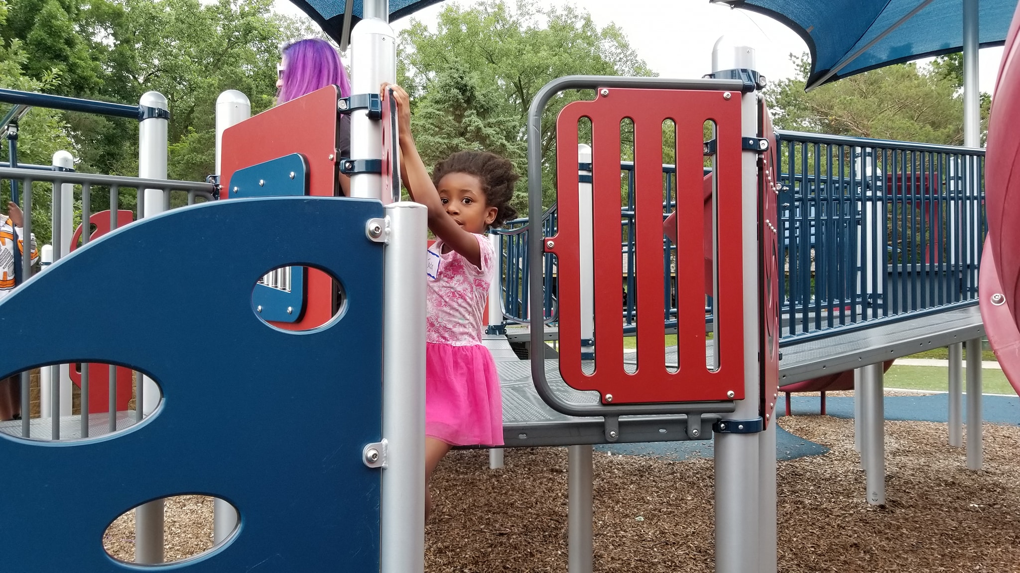 Juneteenth Roseville 2018 – Do Good Roseville